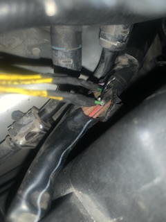 01 Bosch wiring