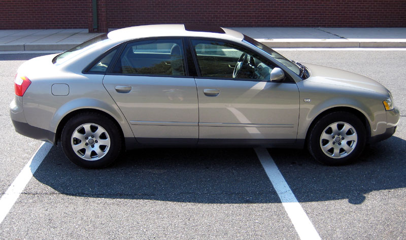 Canvas Beige Metallic