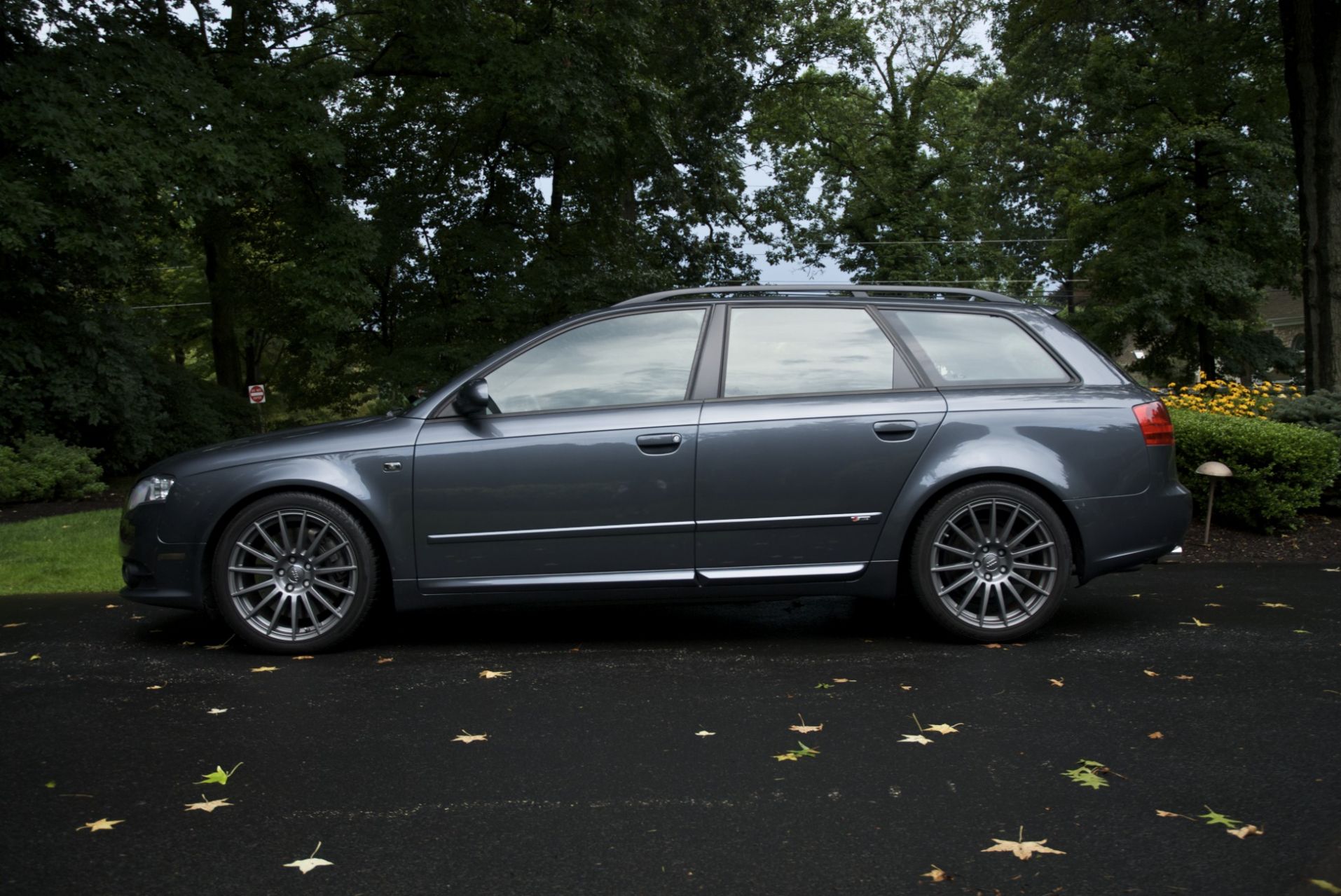 Dolphin Grey pic Requests