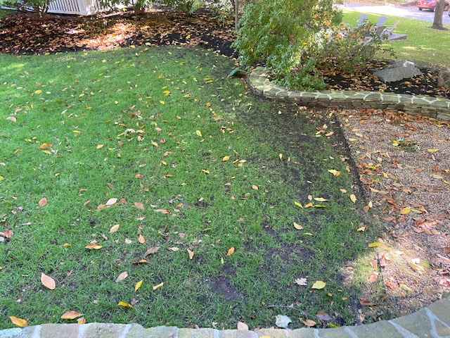 Growing grass in shade | Lawn Care Forum