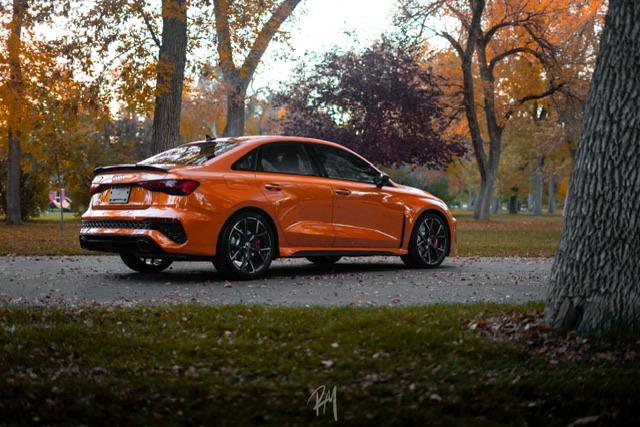 Samoa Orange 2023 RS3 - Audizine Photo Gallery