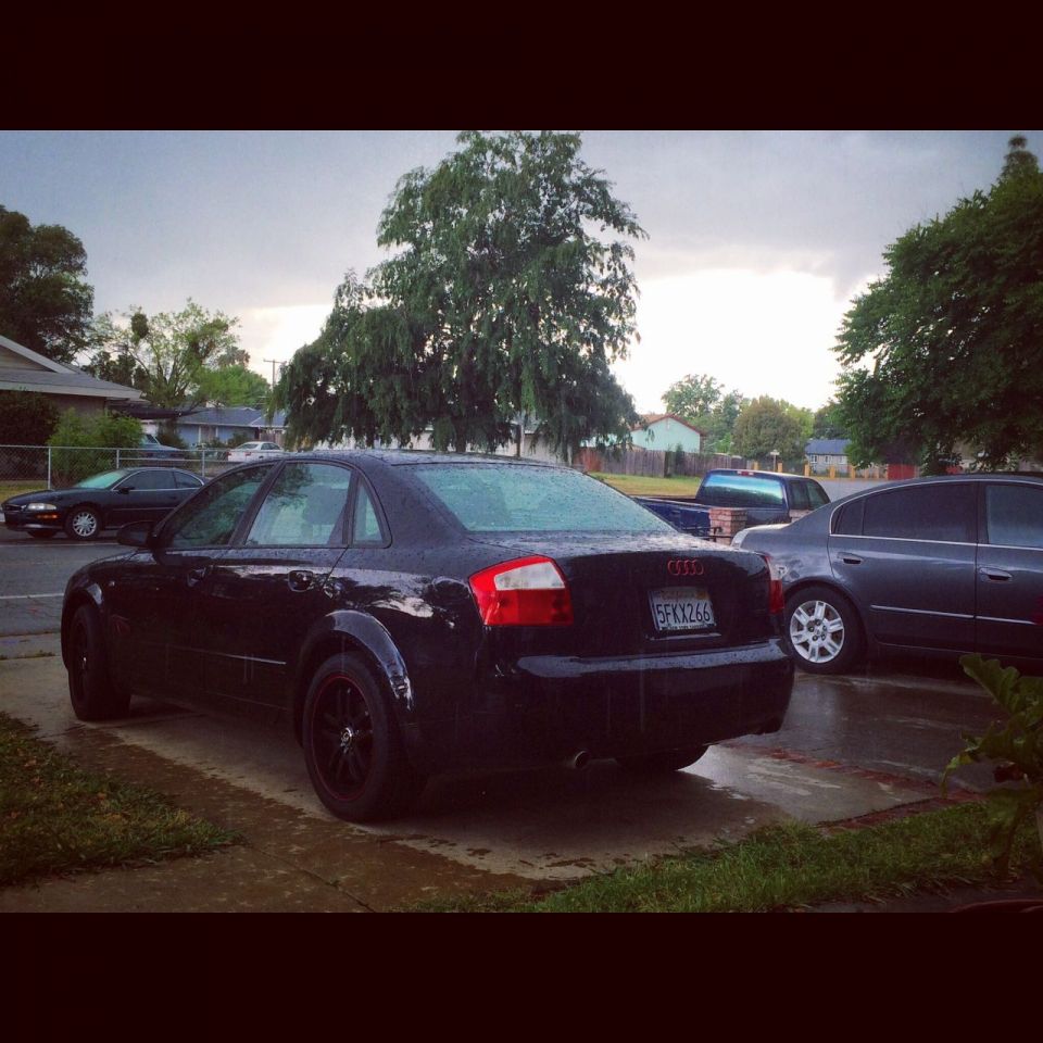 image1132 - Audizine Photo Gallery