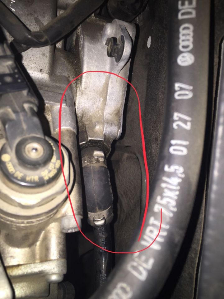 8B6E6C8E-A0A8-42D1-B8BA-EC245385CF04 - Audizine Photo Gallery