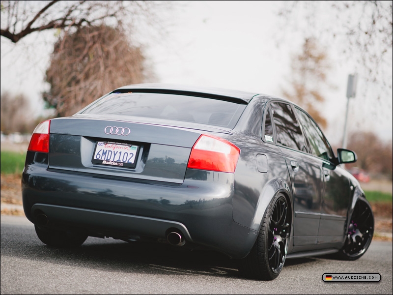 FEELER A408's Giant partout