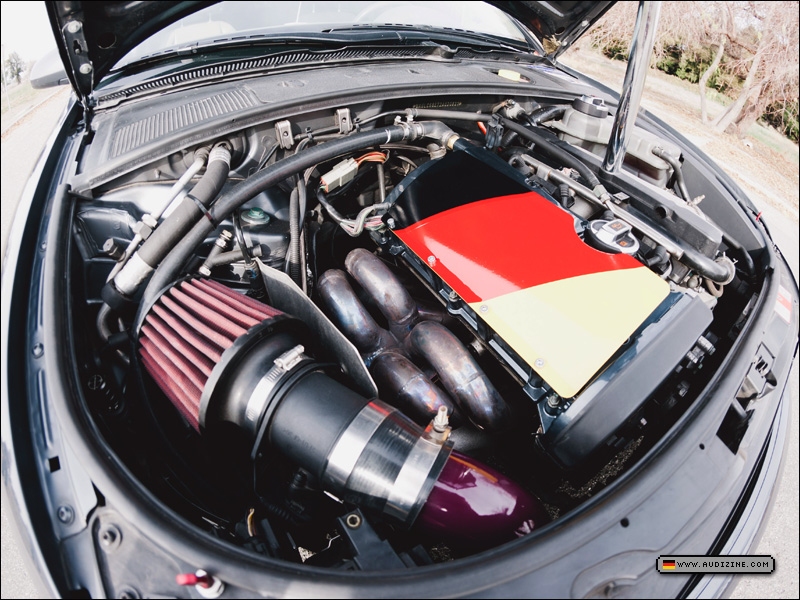 FEELER A408's Giant partout